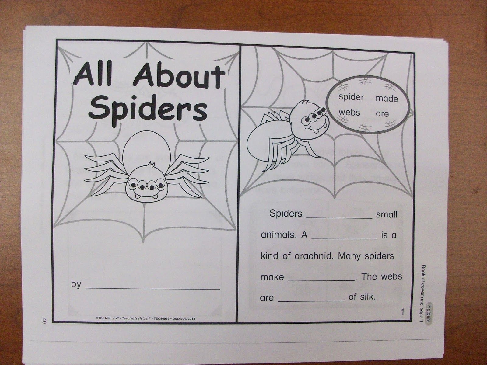 Mrs. Hankinson's Class: Spiders and Bats!