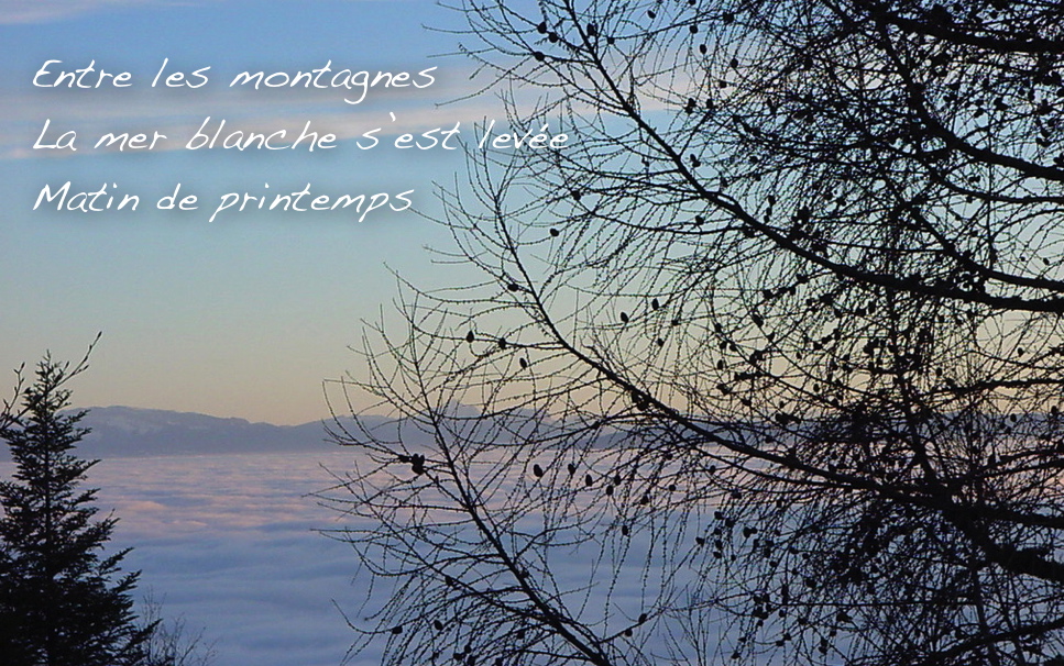 Haïku 17 : Haïku du bord de mer