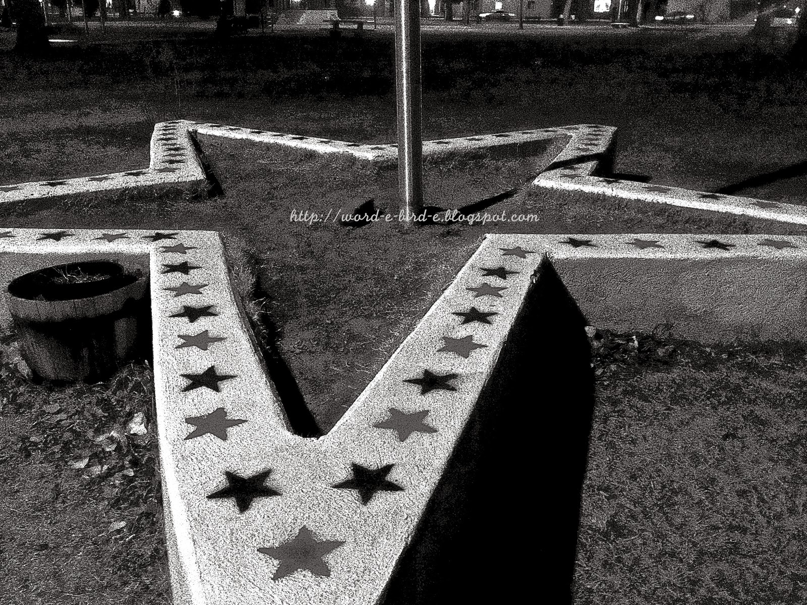Star 365 Words 365 Days 365 Opportunities star-365-words-365-days-365-opportunities
