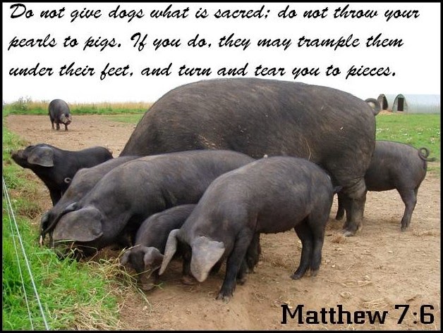 The Verse Of the Week: Was Jesus really calling some people "dogs" and ...