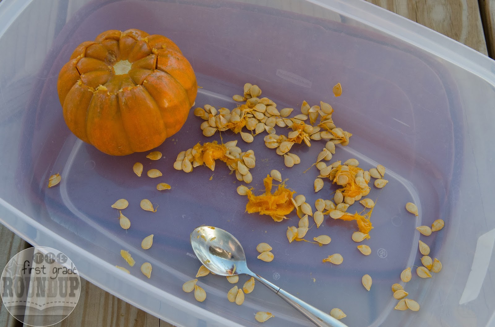 preschool pumpkin activities for halloween math & science ...