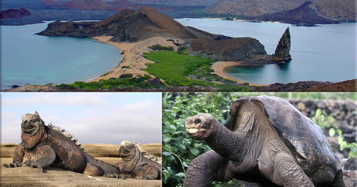 LA BIODIVERSIDAD DE GALAPAGOS: FAUNA DE LAS ISLAS GALAPAGOS