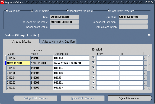 Learn Oracle: Oracle Inventory Flexfields Implementation