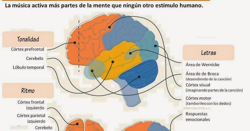 Música, Arte y Cerebro: Infografias sobre Música y Cerebro