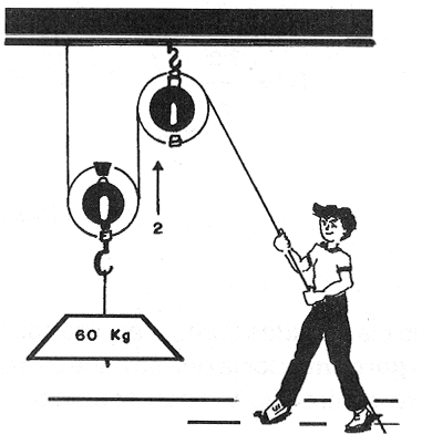 LAS POLEAS: APLICACIONES DE LAS POLEAS