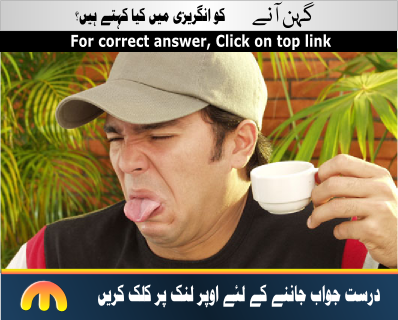 Abhor Meaning - Learn Pakistan