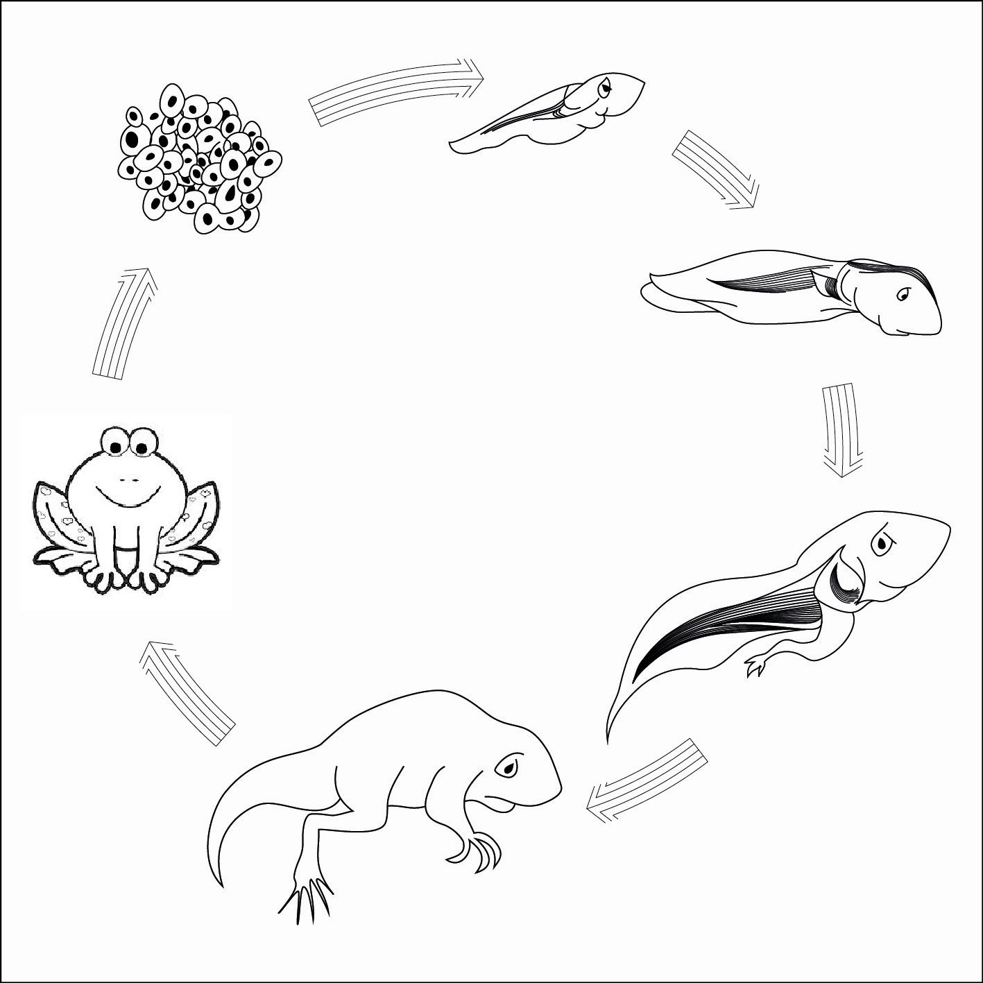 Menta Más Chocolate - RECURSOS y ACTIVIDADES PARA EDUCACIÓN INFANTIL ...