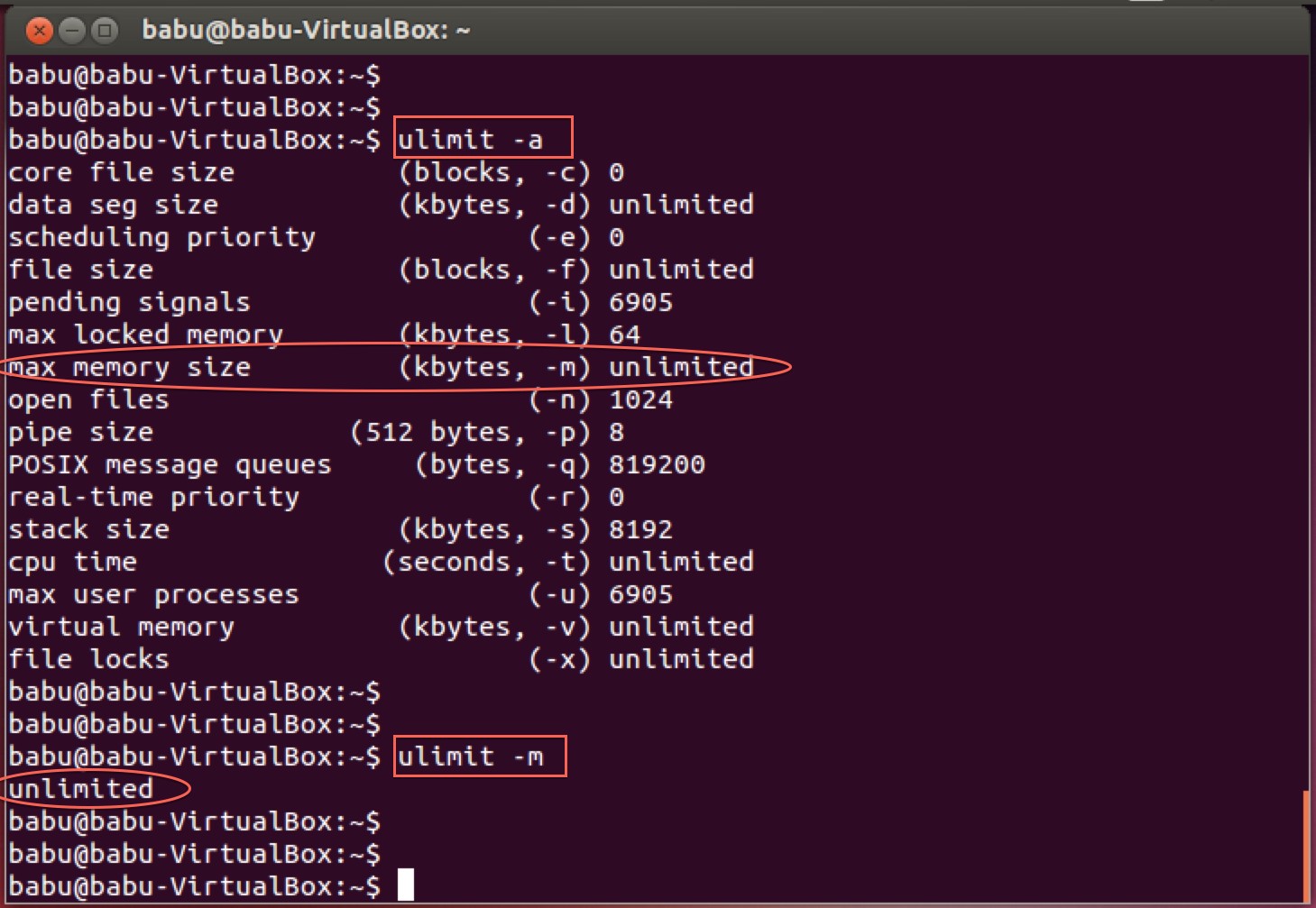 TechVolve: Run-time Memory Hog Mitigation Techniques in Linux