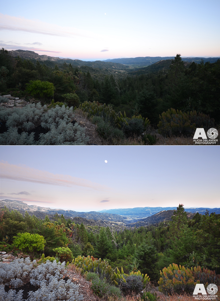 2940 best r/postprocessing images on Pholder | Thoughts on this edit?! I am inspired by 1924us