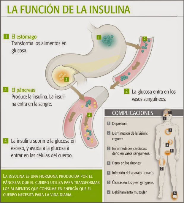 RESUMEN, SINTESIS DE LA INSULINA | Biomedica..? RESUMEN, SINTESIS DE LA INSULINA | Biomedica..?
