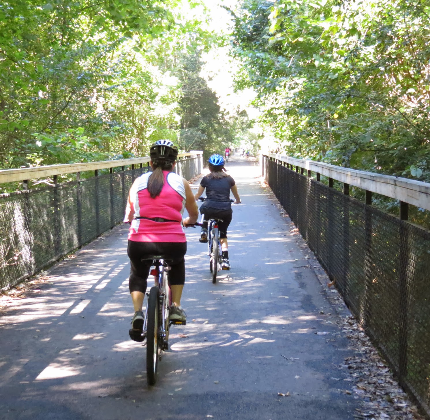 Memphis Cyclist Bike Trails And City Roads Offer Memphis Area Cyclists memphis-cyclist-bike-trails-and-city-roads-offer-memphis-area-cyclists