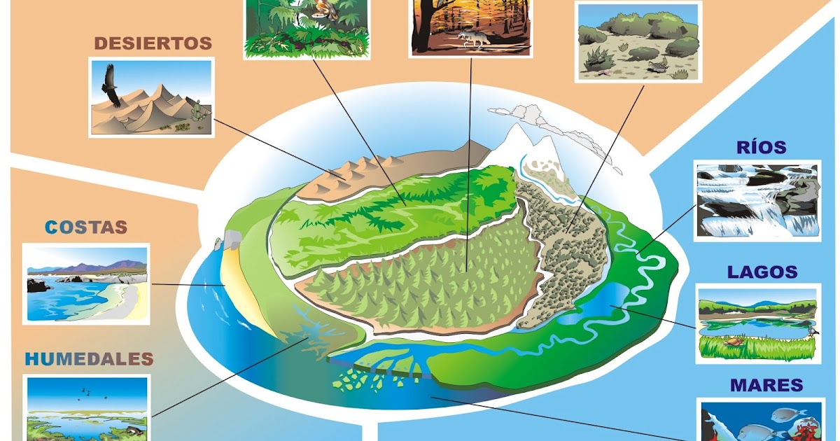 CIENCIAS 6º: ECOSISTEMA