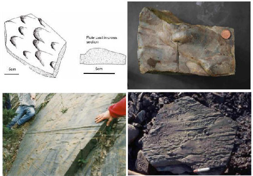 Earth Learning Idea: Sole marks - sedimentary structures
