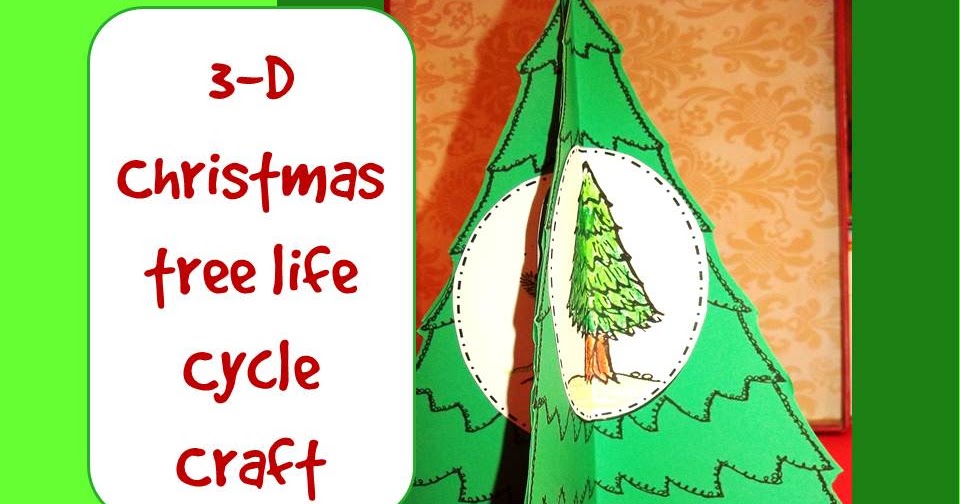 Sweet Tea Classroom: Life Cycle of a Christmas Tree: 3-D Life Cycle of ...