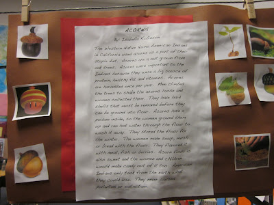 Mrs. Dufort's 3rd Grade Class: Native American Report Examples