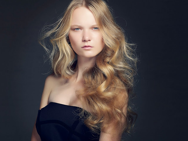 Classify Danish Model