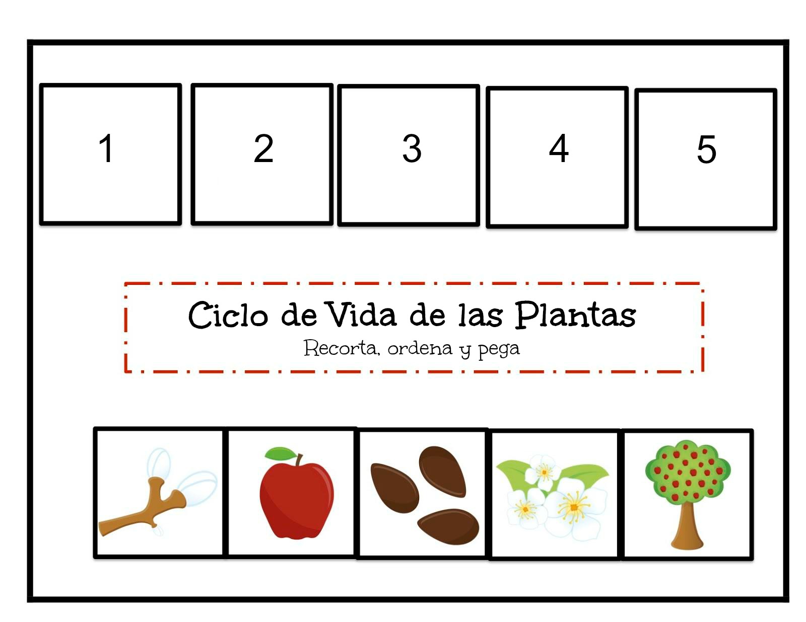 Menta Más Chocolate - RECURSOS y ACTIVIDADES PARA EDUCACIÓN INFANTIL ...