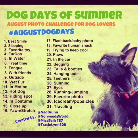 The World According to Garth Riley: Dog Days of Summer: Part Four