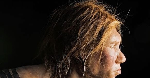 The Subversive Archaeologist: Neanderthal Co-operative Hunting, the Way It Surely Must Have Been.