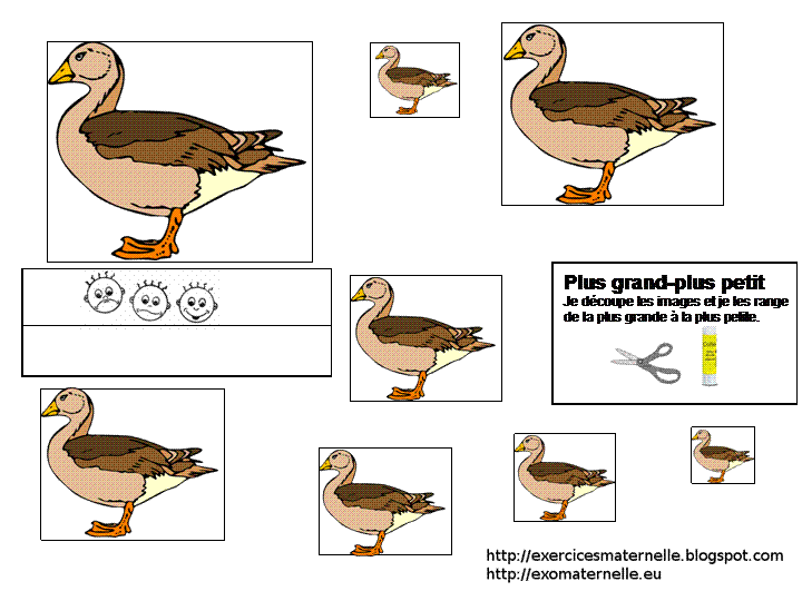 Maternelle: Plus grand, plus petit