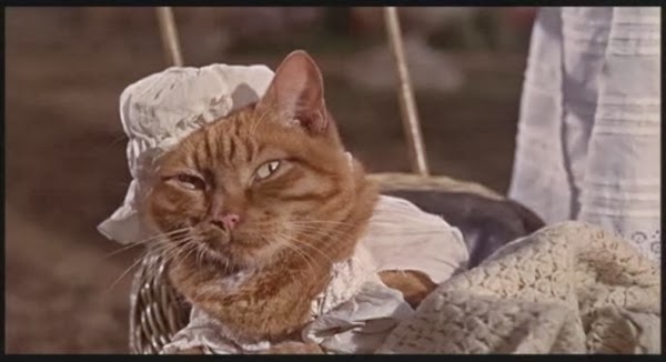Most Famous Cats Most Famous TV And Movie Cats most-famous-cats-most-famous-tv-and-movie-cats