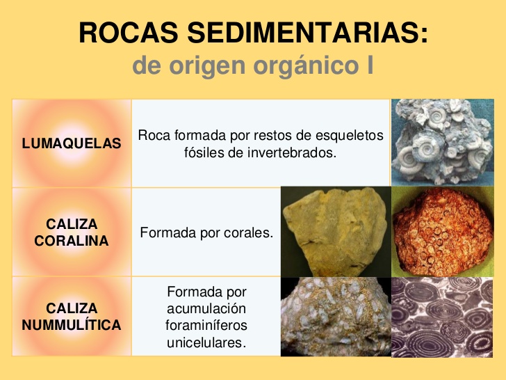 Geografía I: Ciclo de las Rocas