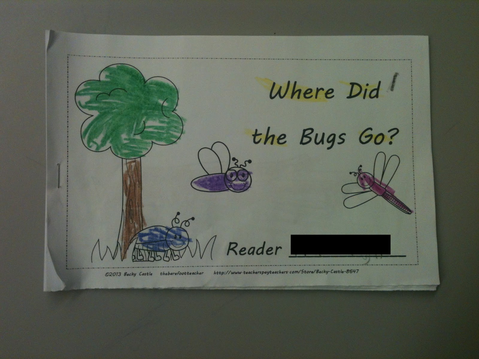 Bugs Bugs Bugs | The Barefoot Teacher