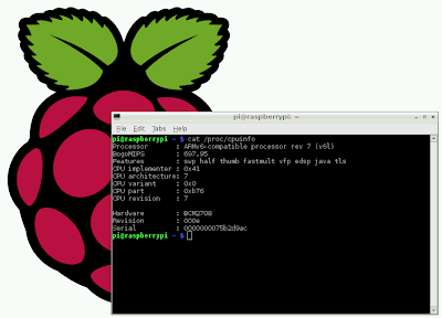Hello Raspberry Pi: Get CPU info for raspberry Pi
