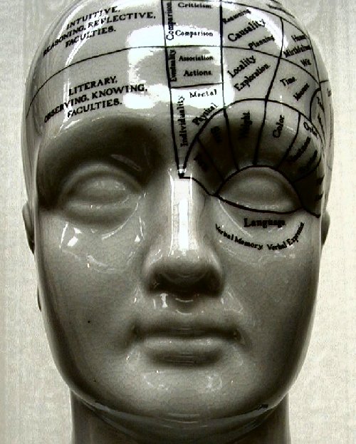 Most Interesting Facts on How Memory Works - PsychTronics Most Interesting Facts on How Memory Works - PsychTronics
