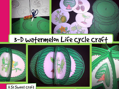 Sweet Tea Classroom: 3-D Watermelon Life Cycle Craft