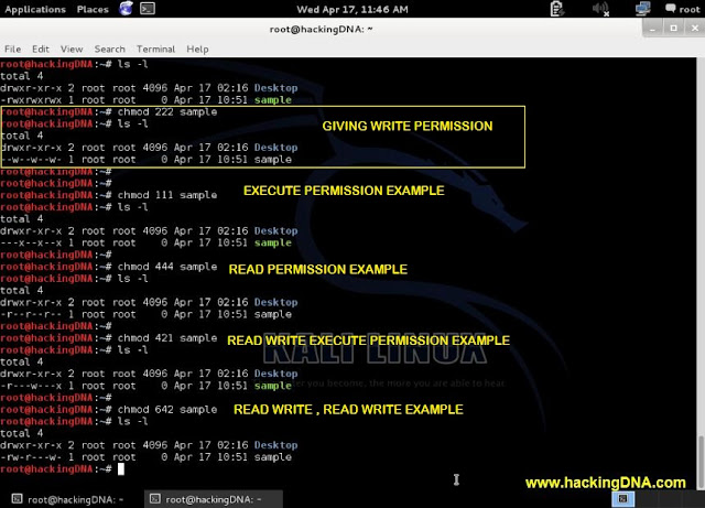 HackingDNA: Shell Scripting On Kali Linux