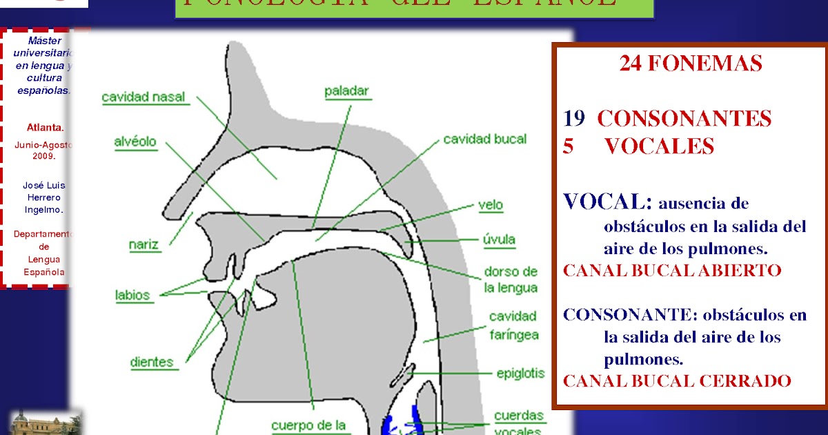 Café Literario - El Aroma de las Letras: Fonemas consonánticos y ...