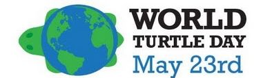 Sylvan Lake Library: May 23 - World Turtle Day