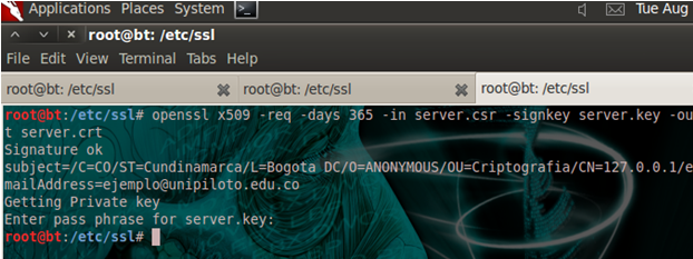 Certificados digitales con OpenSSL | BinaryTI
