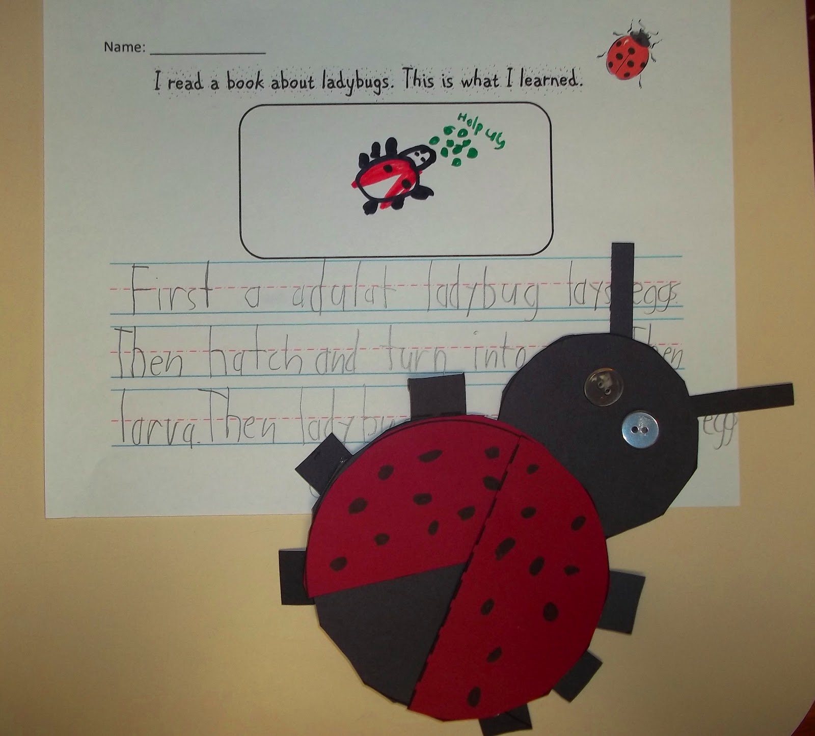 Sweet Tea Classroom: Ladybugs in the Classroom