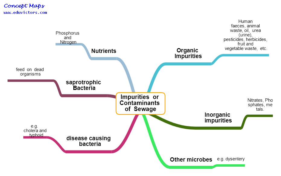 CBSE Papers Questions Answers MCQ Class 7 Science CH18 Wastewater Story cbse-papers-questions-answers-mcq-class-7-science-ch18-wastewater-story
