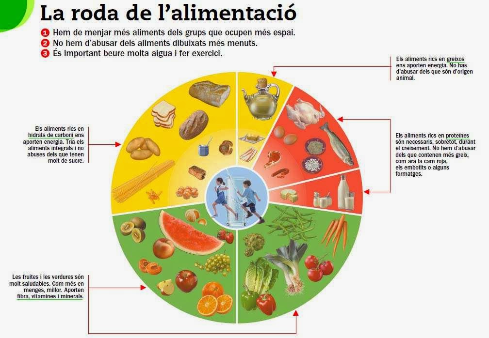 CP JOAN MAS - 3r A: LA RODA DELS ALIMENTS