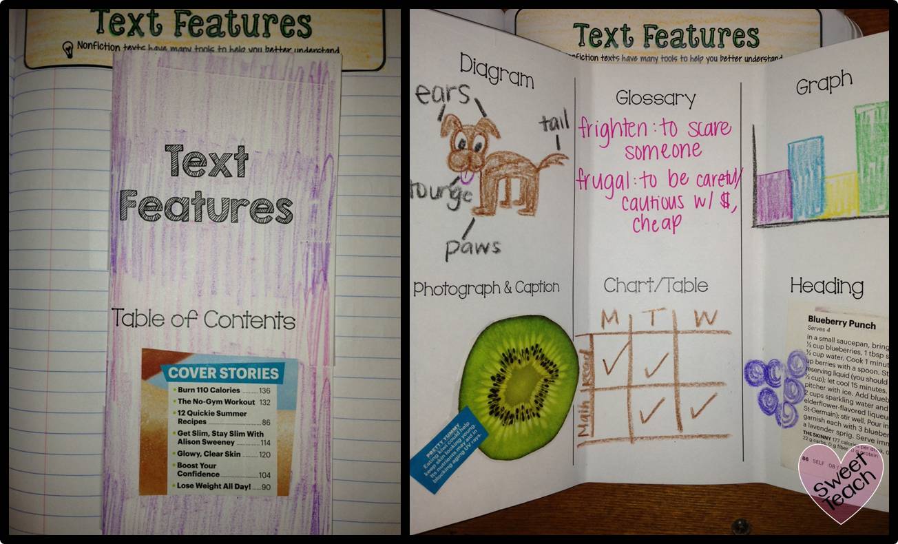 Interactive Reading Notebook! - Adrienne Teaches