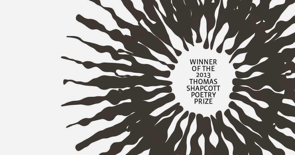 The Special by David Stavanger | Diva Booknerd