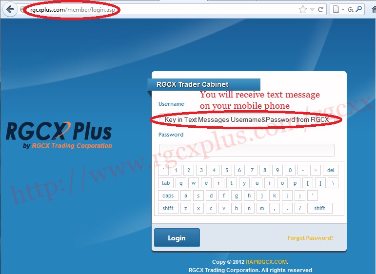 Welcome To RGCX(Rapid Gold Currency Exchange): FOR BEGINNER