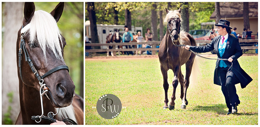 Sharilyn Wells Photography Horse Show Events Fayetteville NC sharilyn-wells-photography-horse-show-events-fayetteville-nc