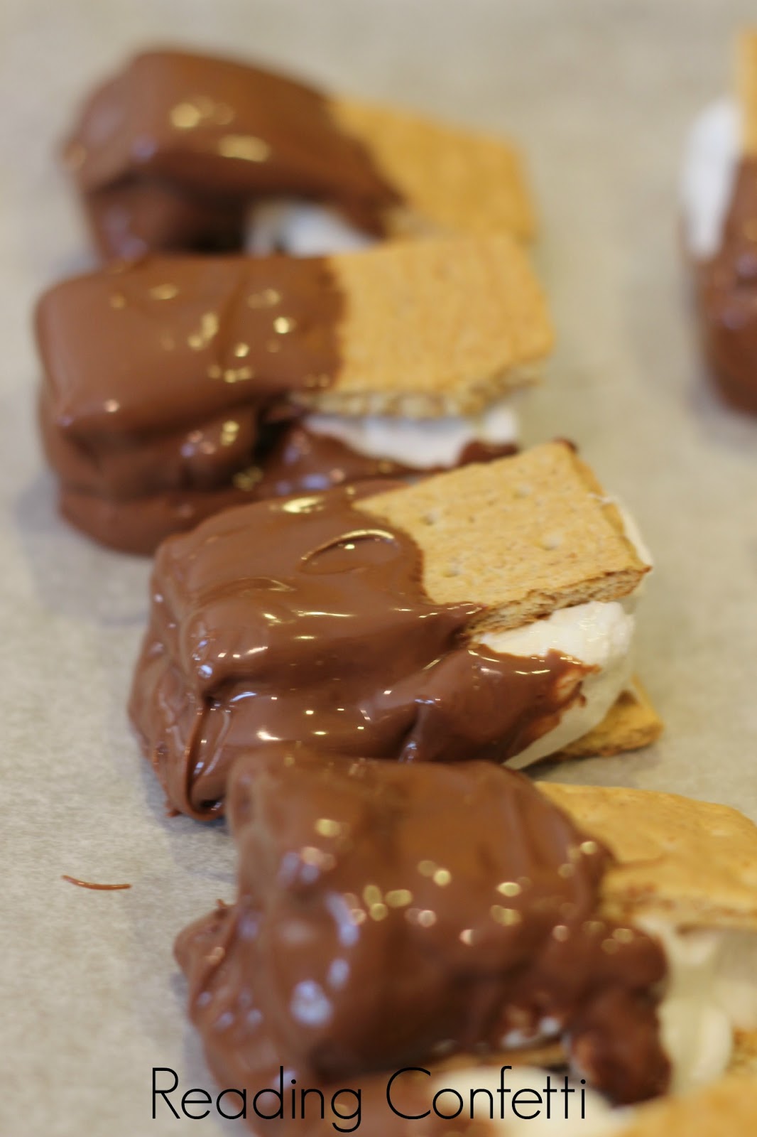 Frozen S'mores and Camping Books for Kids ~ Reading Confetti