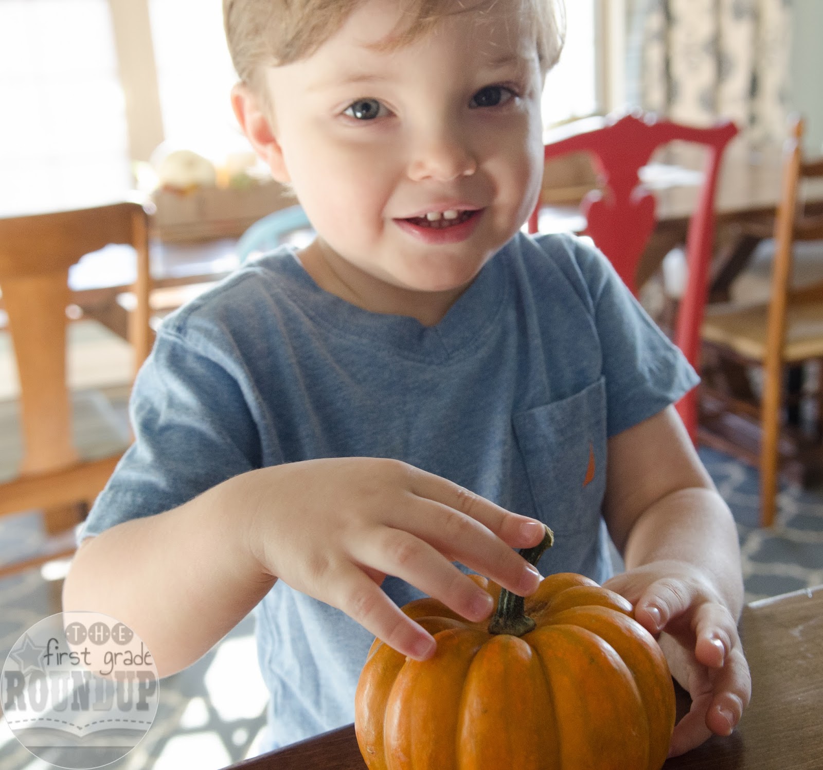 preschool pumpkin activities for halloween math & science ...