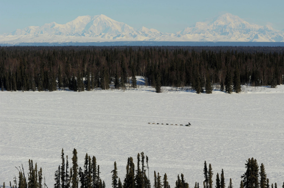 METRONOME: Iditarod, the last great race on earth