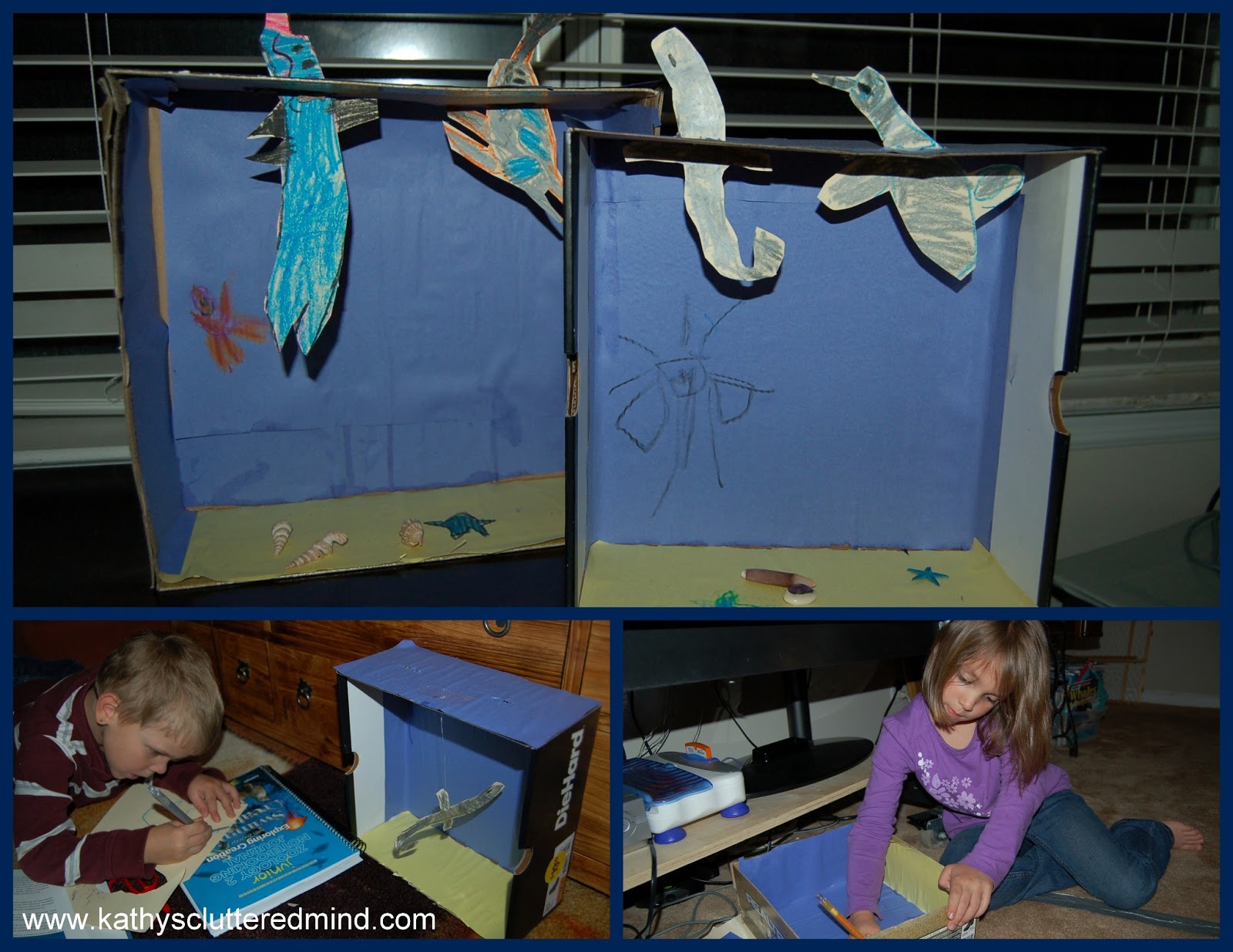 Kathys Cluttered Mind: Review Apologia Swimming Creatures of the 5th Day