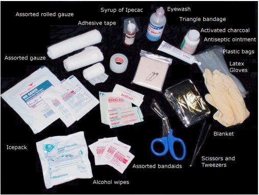 My English Pages Online FIRST AID KIT Vocabulary my-english-pages-online-first-aid-kit-vocabulary