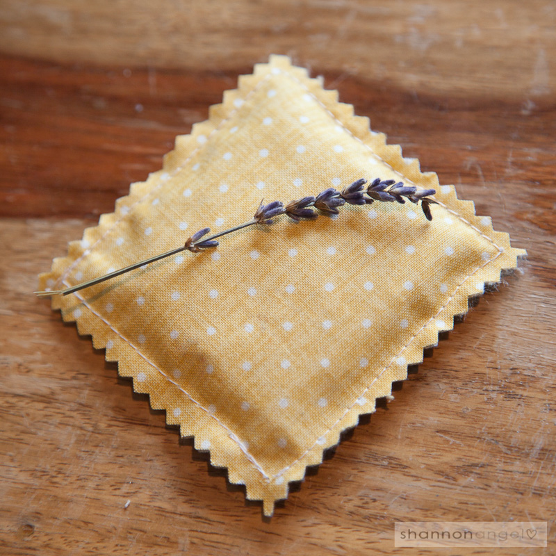 Spirited Shannon: DIY Lavender Sachet Tutorial