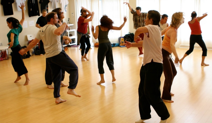 Biodanza: Origen e historia