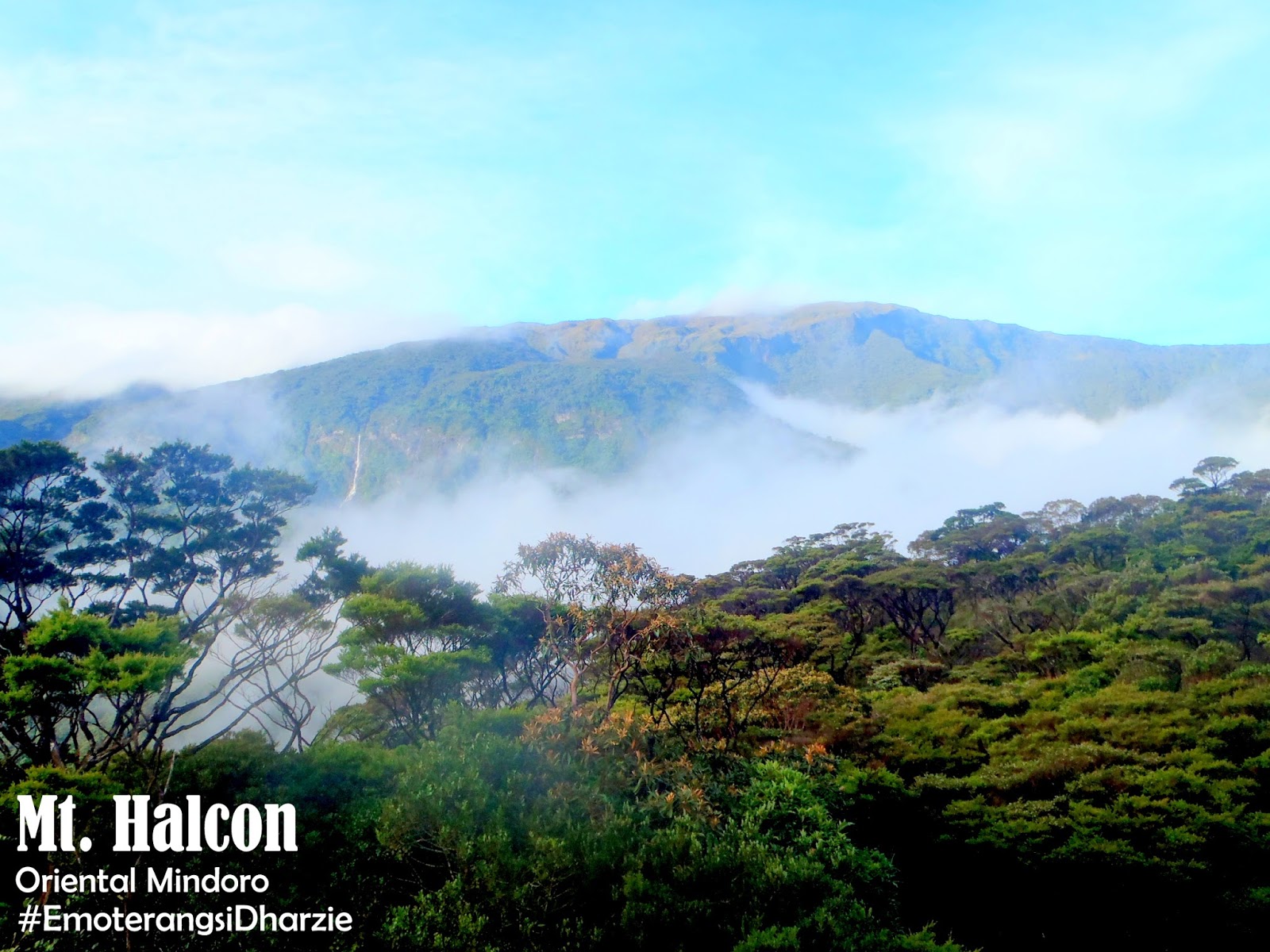 Saan Matatagpuan Ang Bundok Makiling Kalakal Mahalaga - vrogue.co Saan Matatagpuan Ang Bundok Makiling Kalakal Mahalaga - vrogue.co