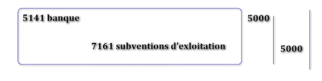 cours comptabilité audit finance: Types des subventions